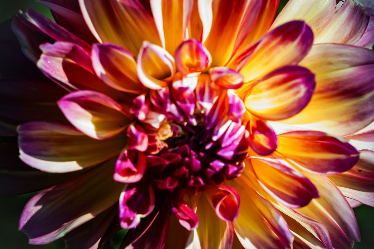 Constance Ross Photography, Licensing Info, Southern Utah, Cedar City ...